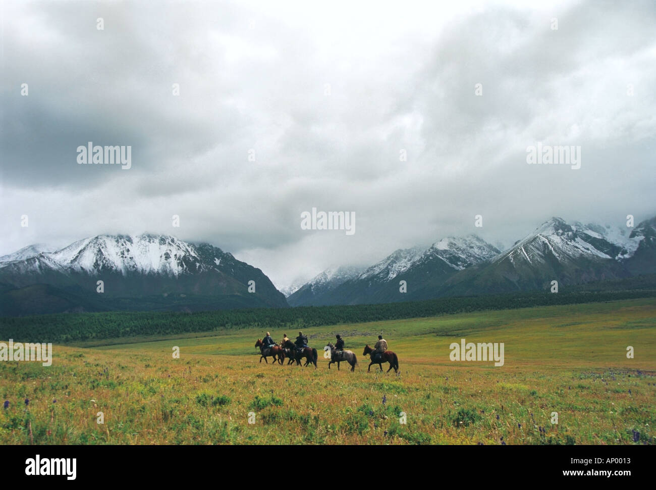 Horsemen are crossing the mountainous plateau Altai Russia Stock Photo ...