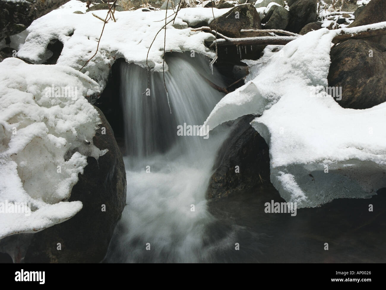 The Karasu river Altai Russia Stock Photo - Alamy