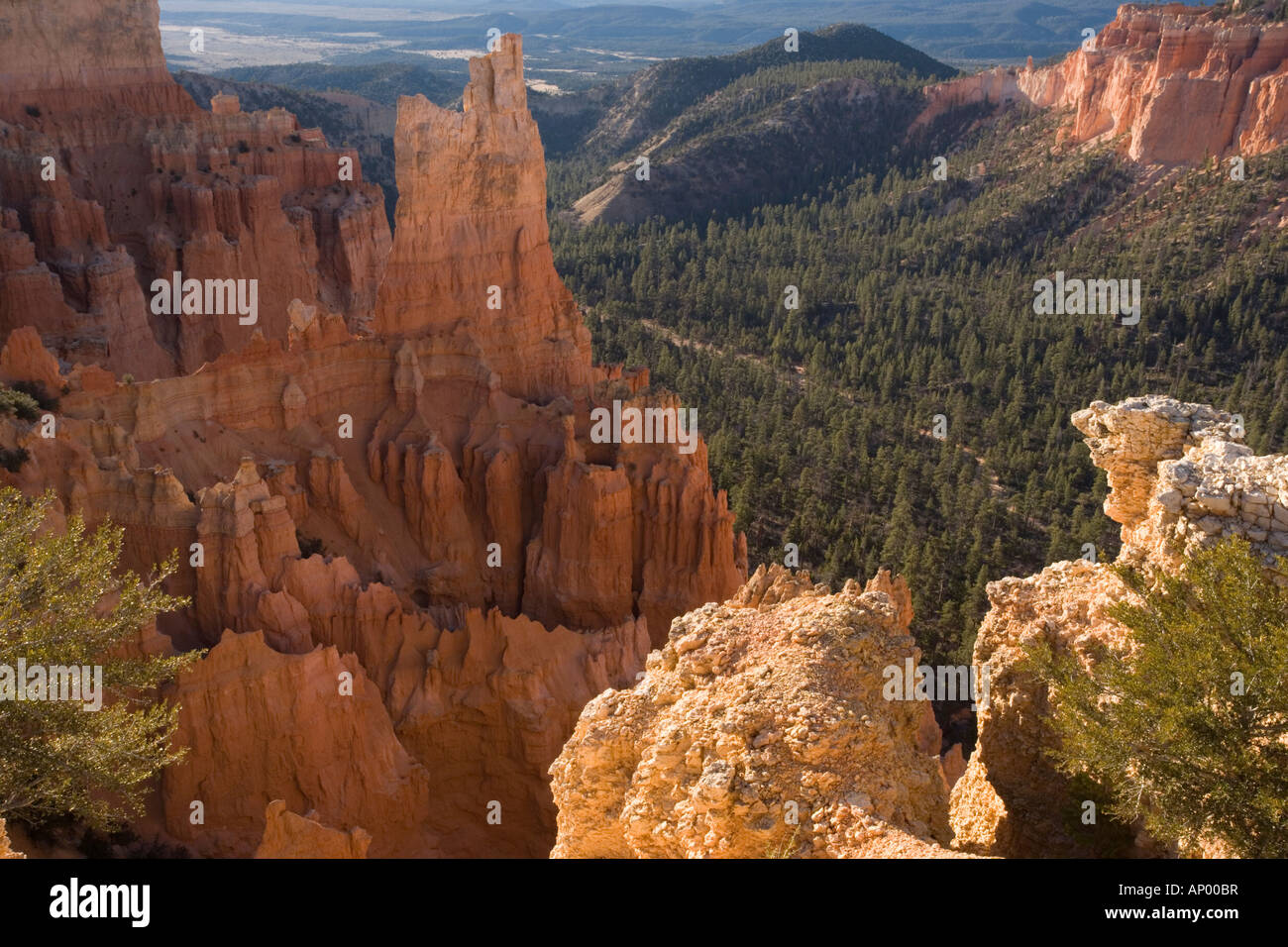 Pinnacles and forests in Bryce Canyon National Park Utah USA Stock ...