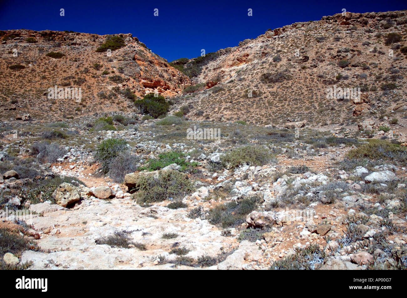 Ancient reef face fossilised into rock Red Bluff area Quobba Station ...