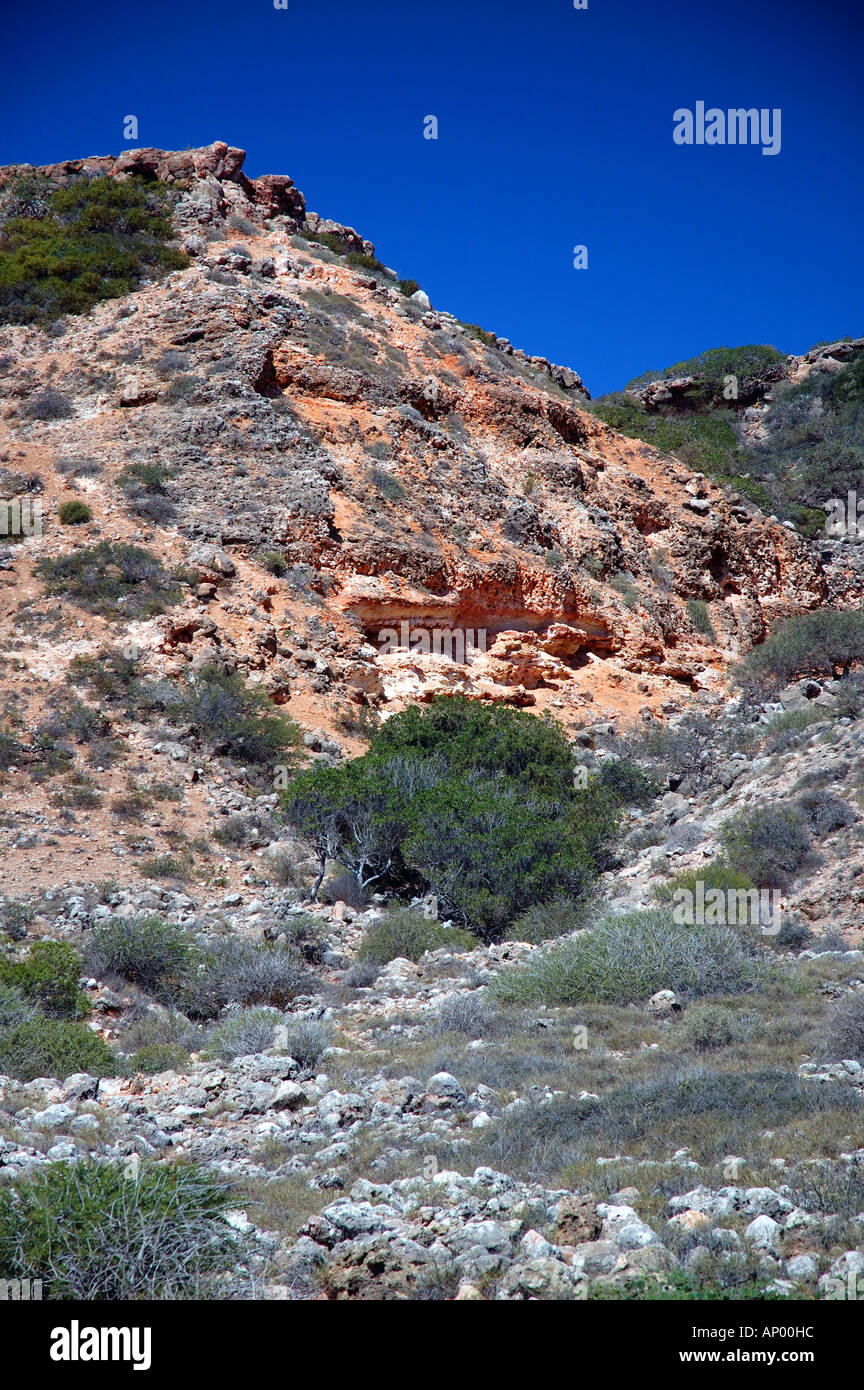 Ancient reef face fossilised into rock Red Bluff area Quobba Station ...