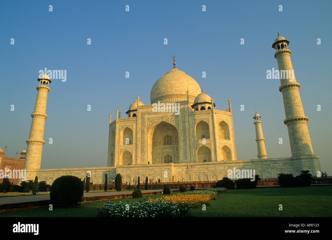 India Agra Taj Mahal early morning Stock Photo - Alamy