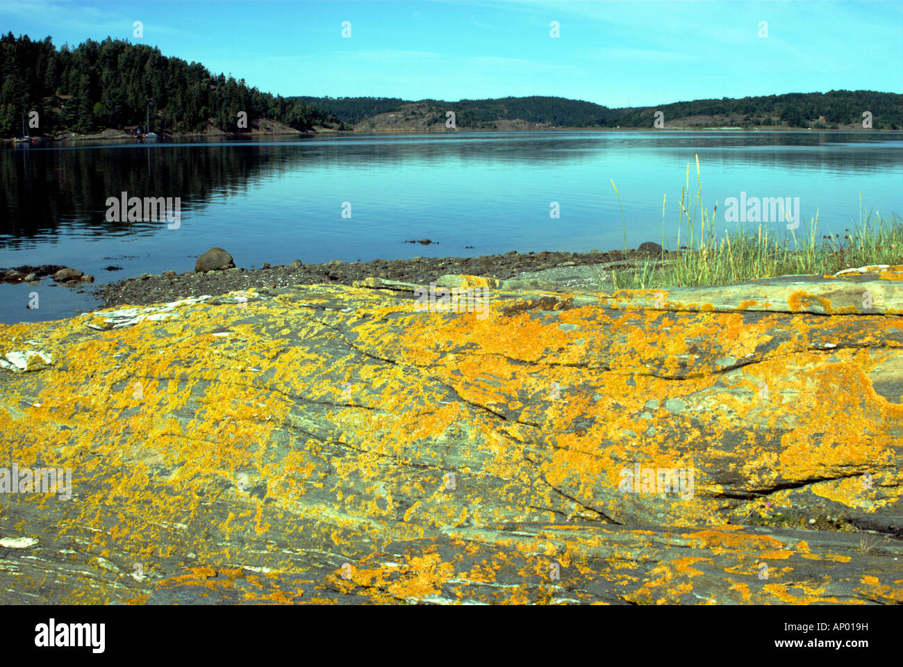 A calm fjord as viewed from a small island with abundant lichen ...
