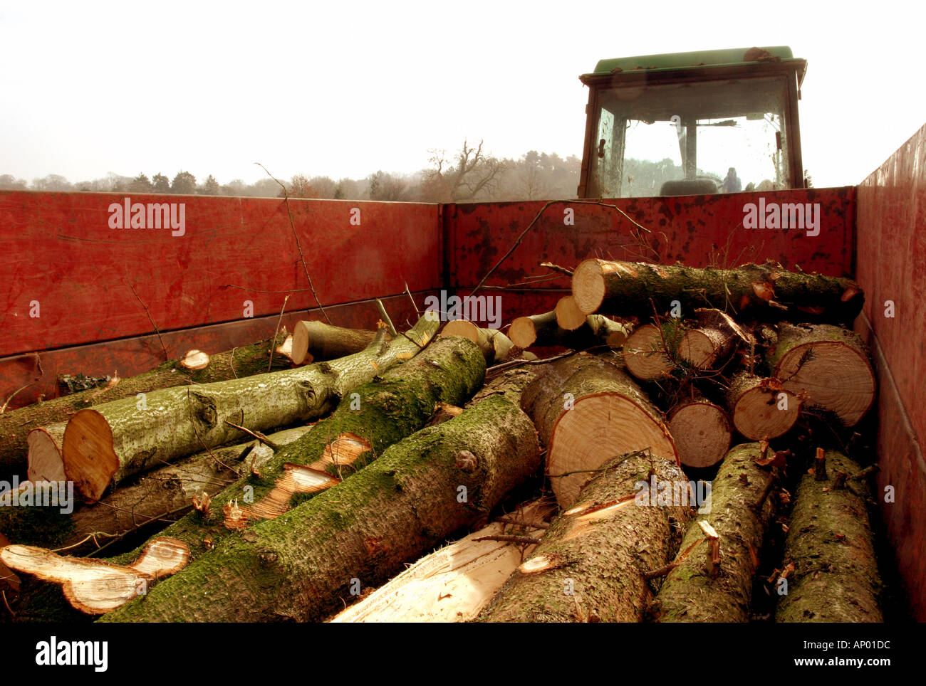 English Tractor with logs Stock Photo - Alamy