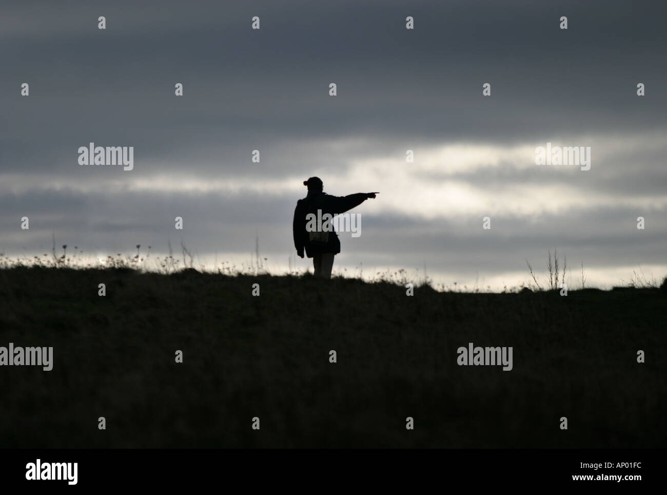 Countryside UK single figure pointing Stock Photo - Alamy