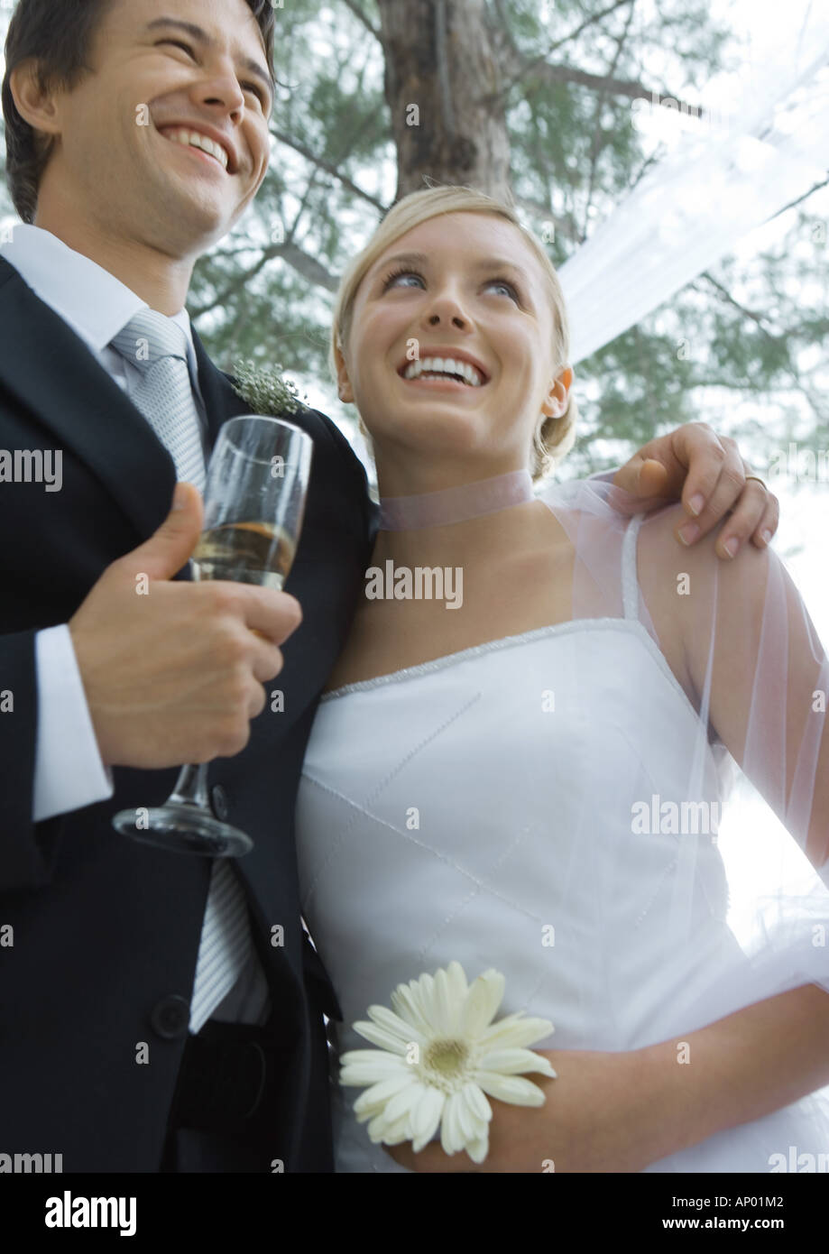 Grooms men toasting hi-res stock photography and images - Alamy
