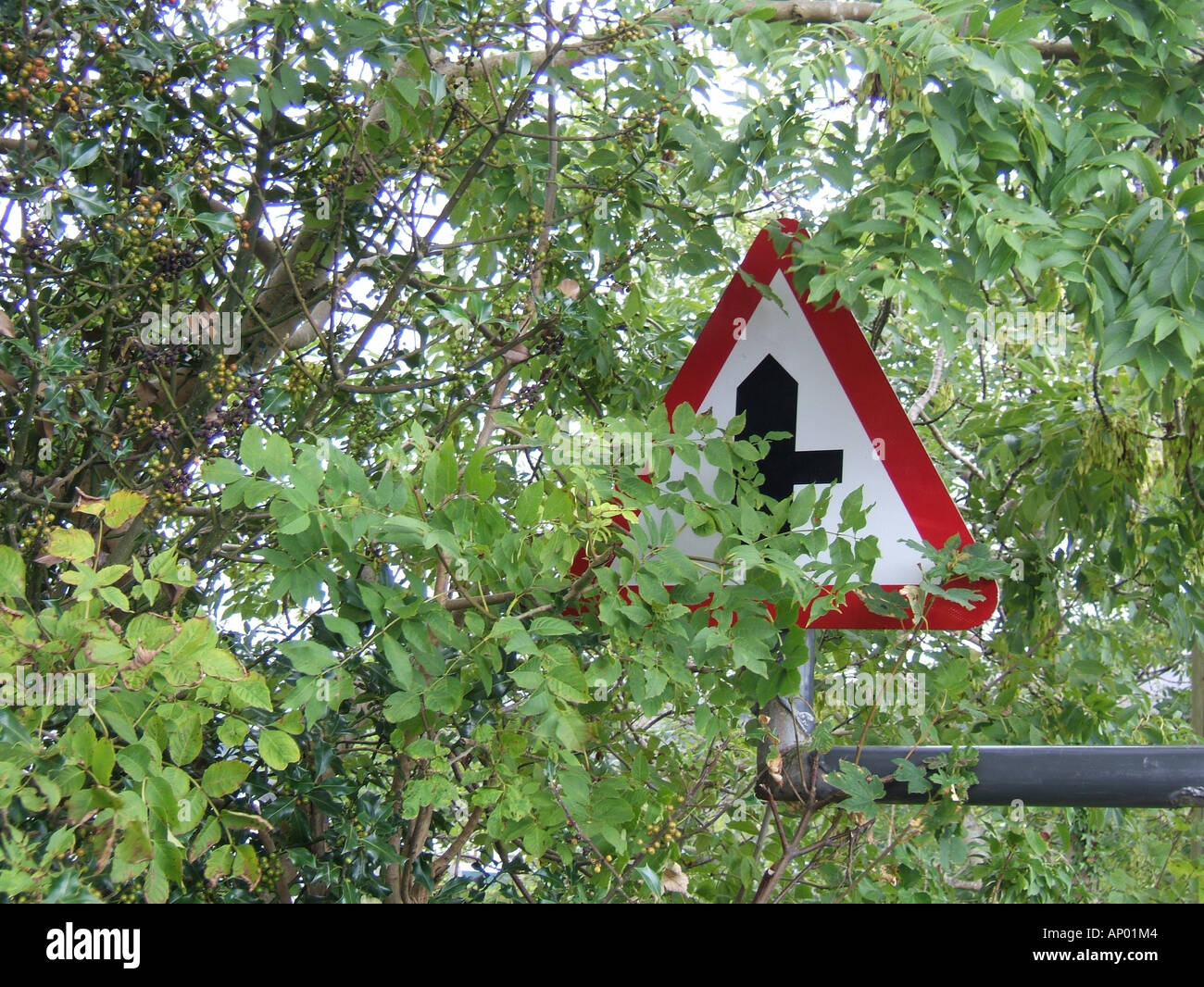 road traffic sign concealed by leaves Stock Photo - Alamy