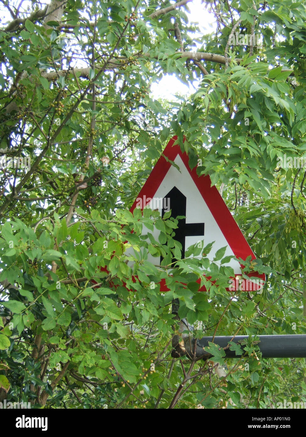 road traffic sign concealed by leaves Stock Photo - Alamy