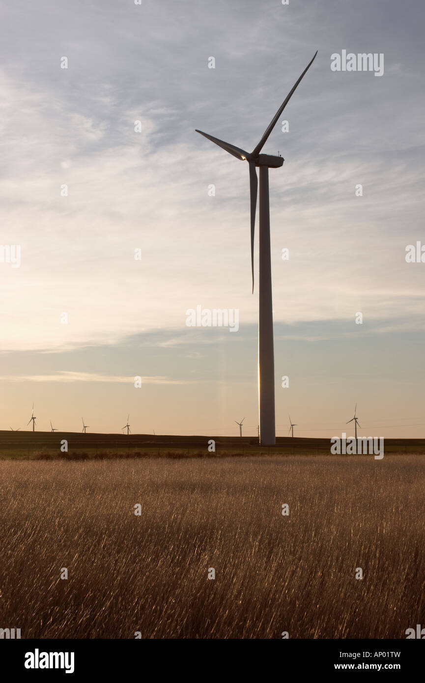 Giant wind mills at wind mill farm in Texas Stock Photo - Alamy