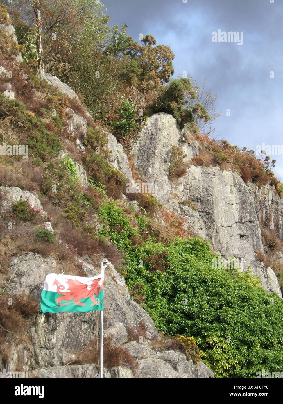 welsh flag in snowdonia wales Stock Photo - Alamy