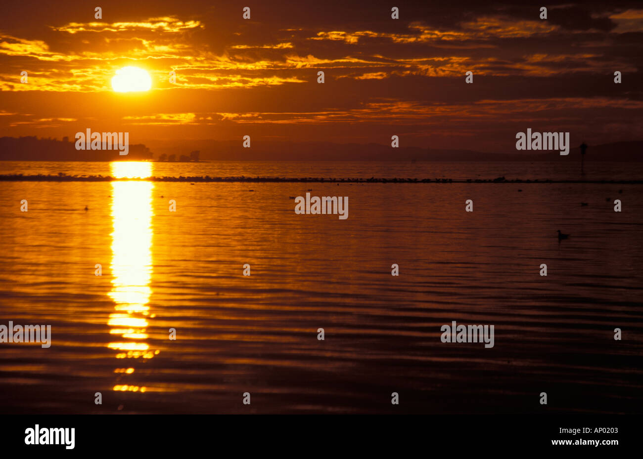 sunset at lake Bodensee Stock Photo - Alamy