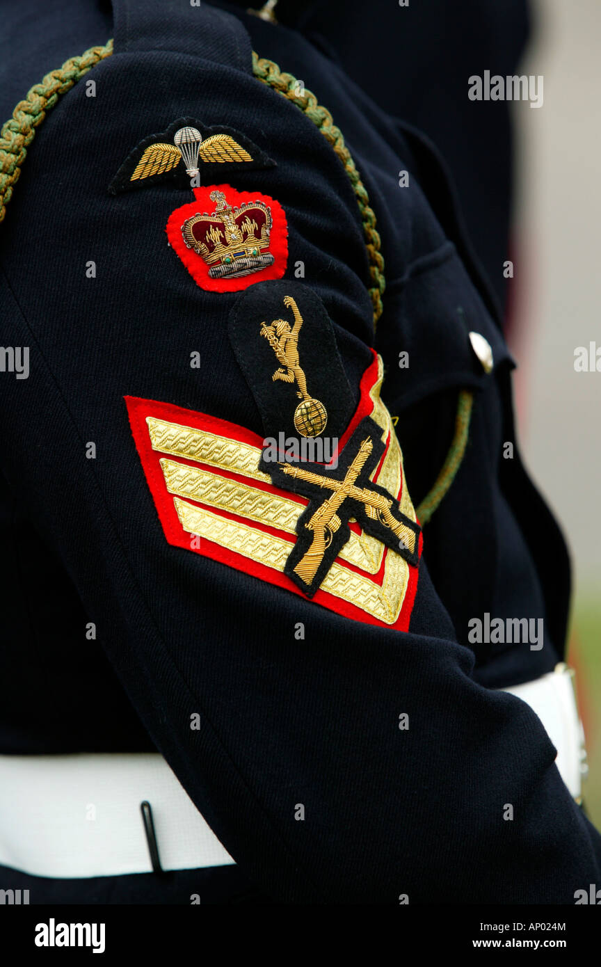 Badge and insignia of a seargent in the parachute regiment Stock Photo ...