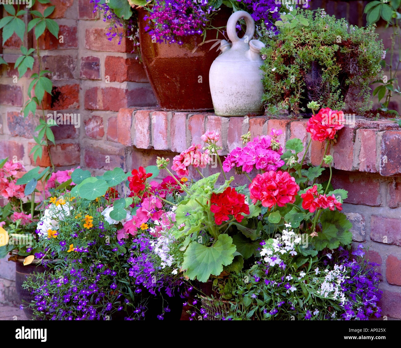 Typical english garden hi-res stock photography and images - Alamy