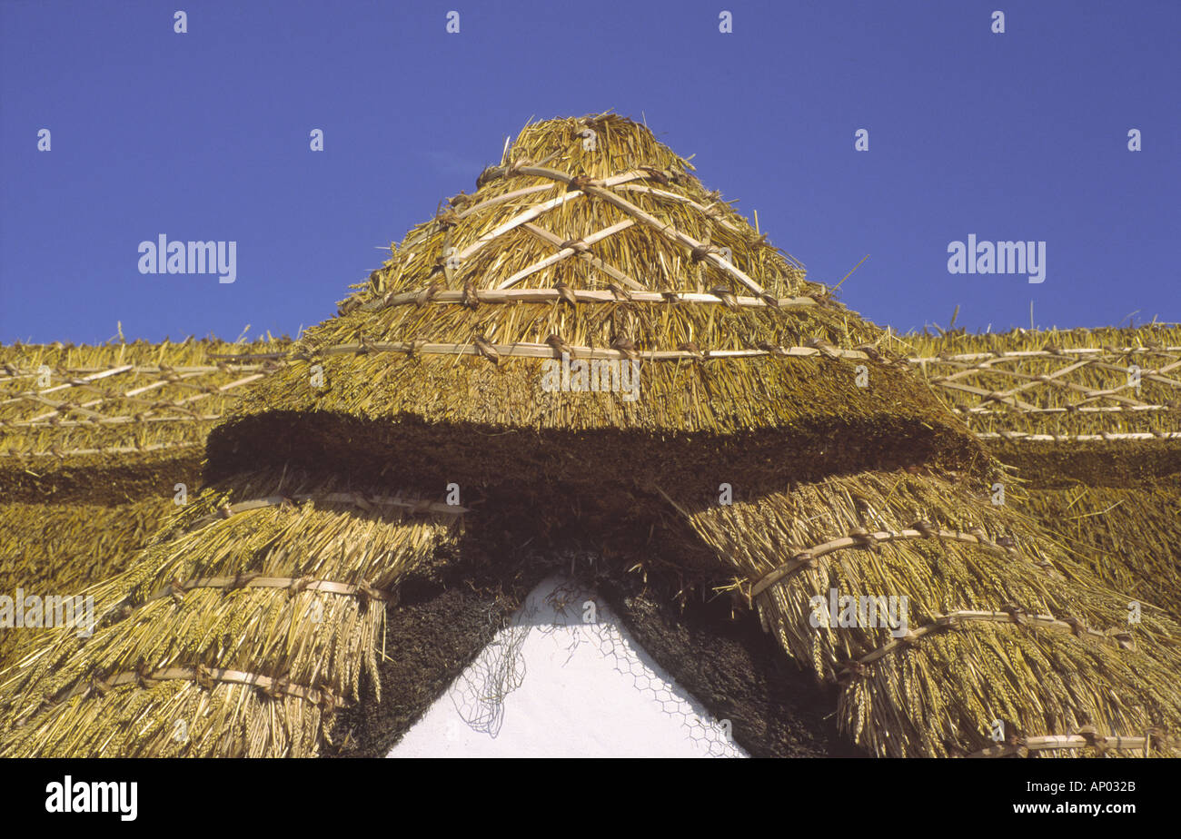 Straw Roof Southern Ireland Stock Photo - Alamy
