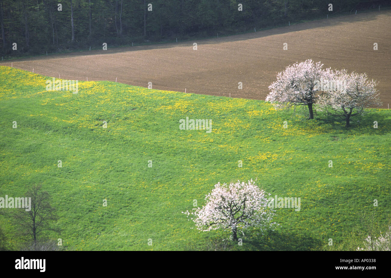 Spring Landscape Switzerland Stock Photo - Alamy