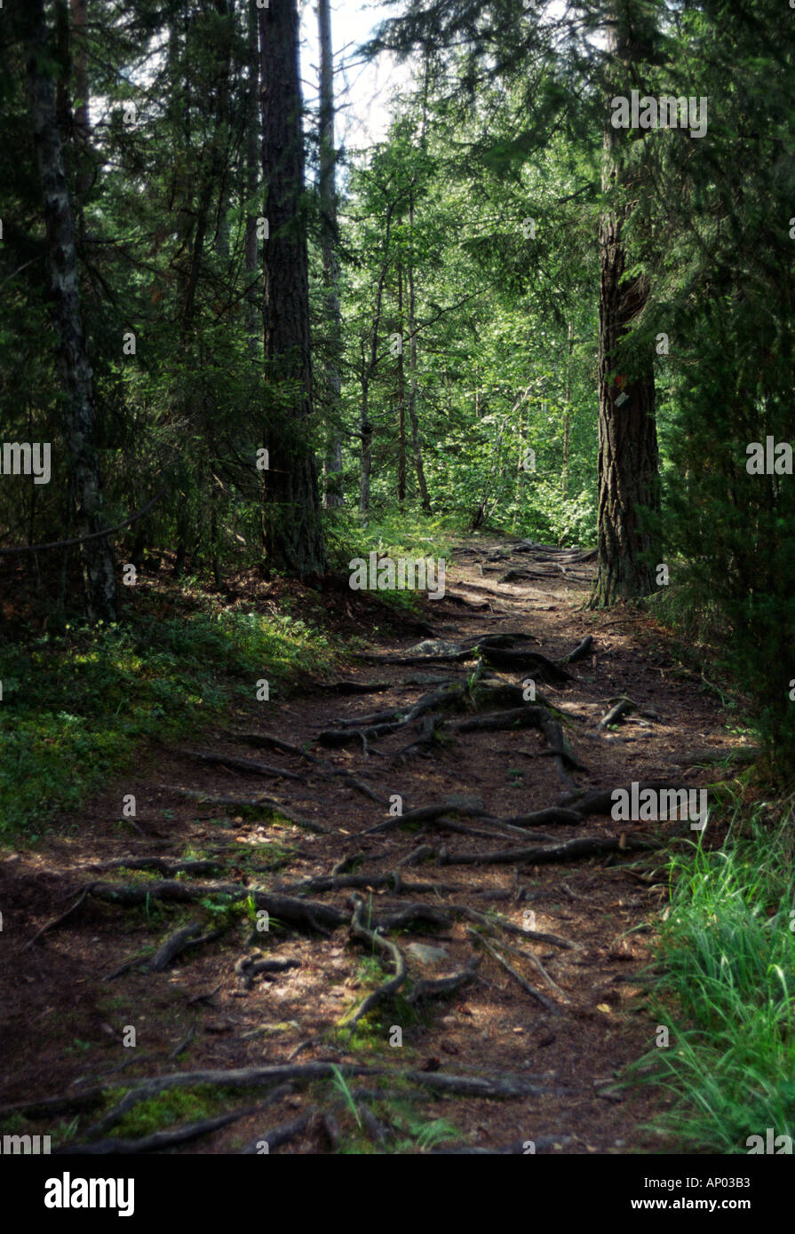 Well used path hi-res stock photography and images - Alamy
