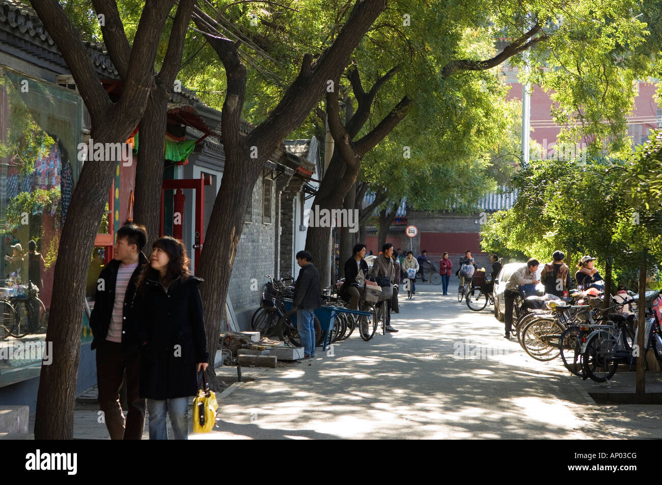 a tree lined avenue in a local neighbourhood Hutong area Beijing China ...