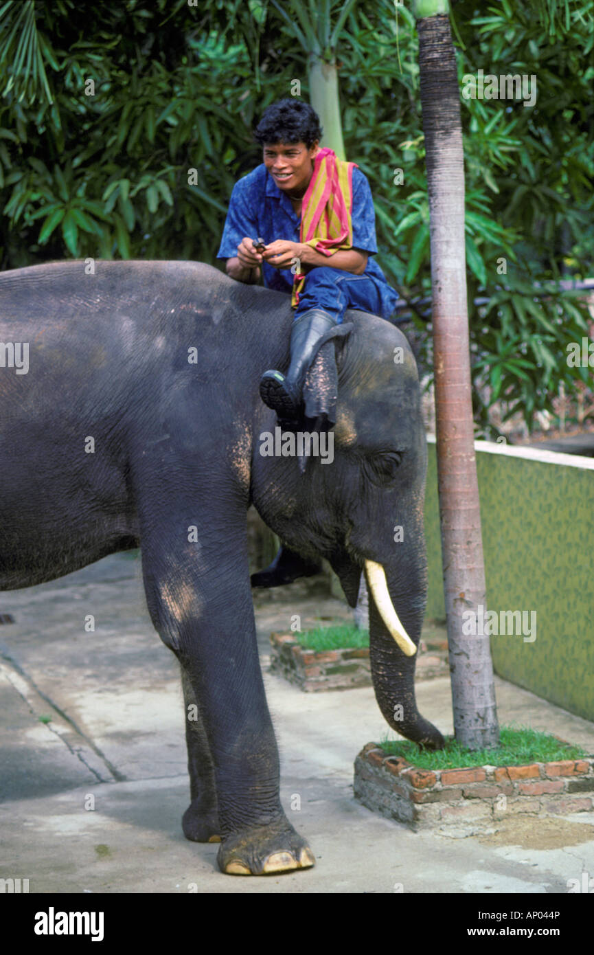 Zookeeper elephant hi-res stock photography and images - Alamy