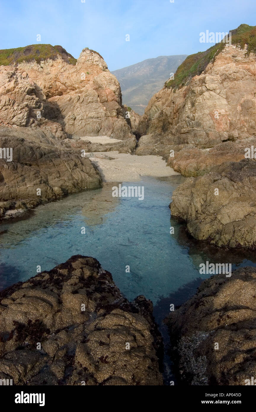PACIFIC TIDE POOL at GARRAPATA STATE BEACH near Carmel BIG SUR ...