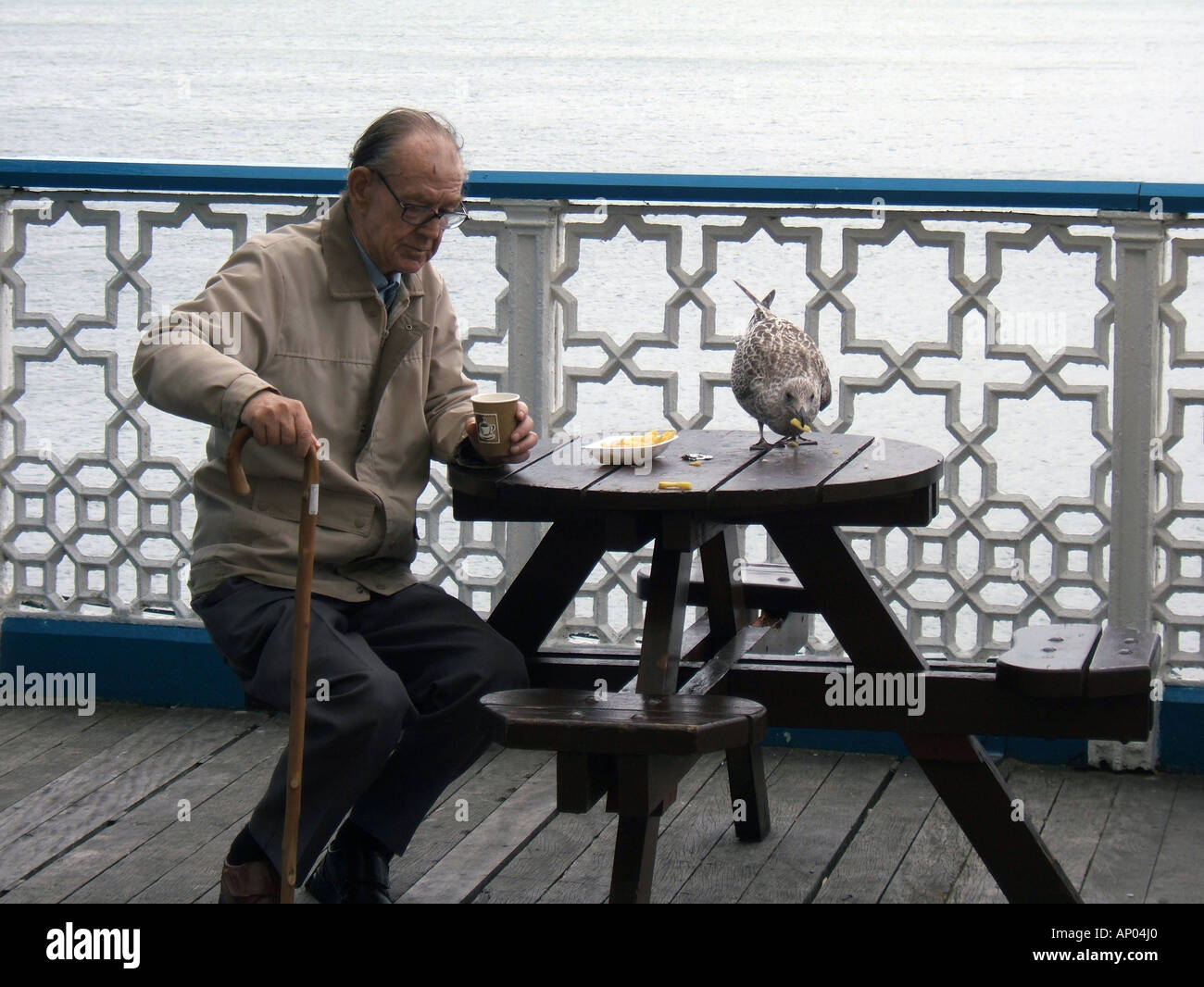Feeding seagull chips uk hi-res stock photography and images - Alamy