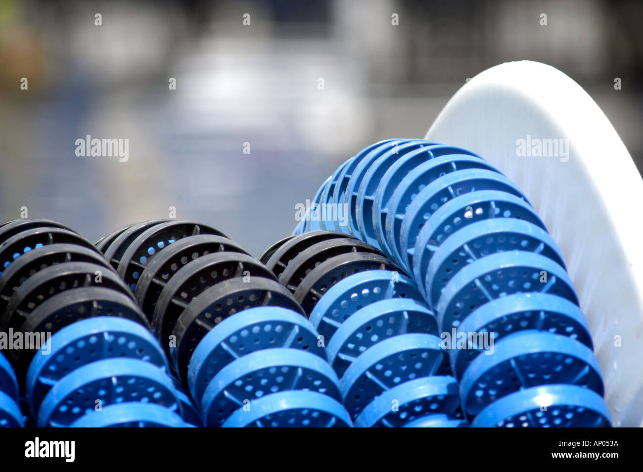 Swimming pool lane floating dividers Stock Photo - Alamy