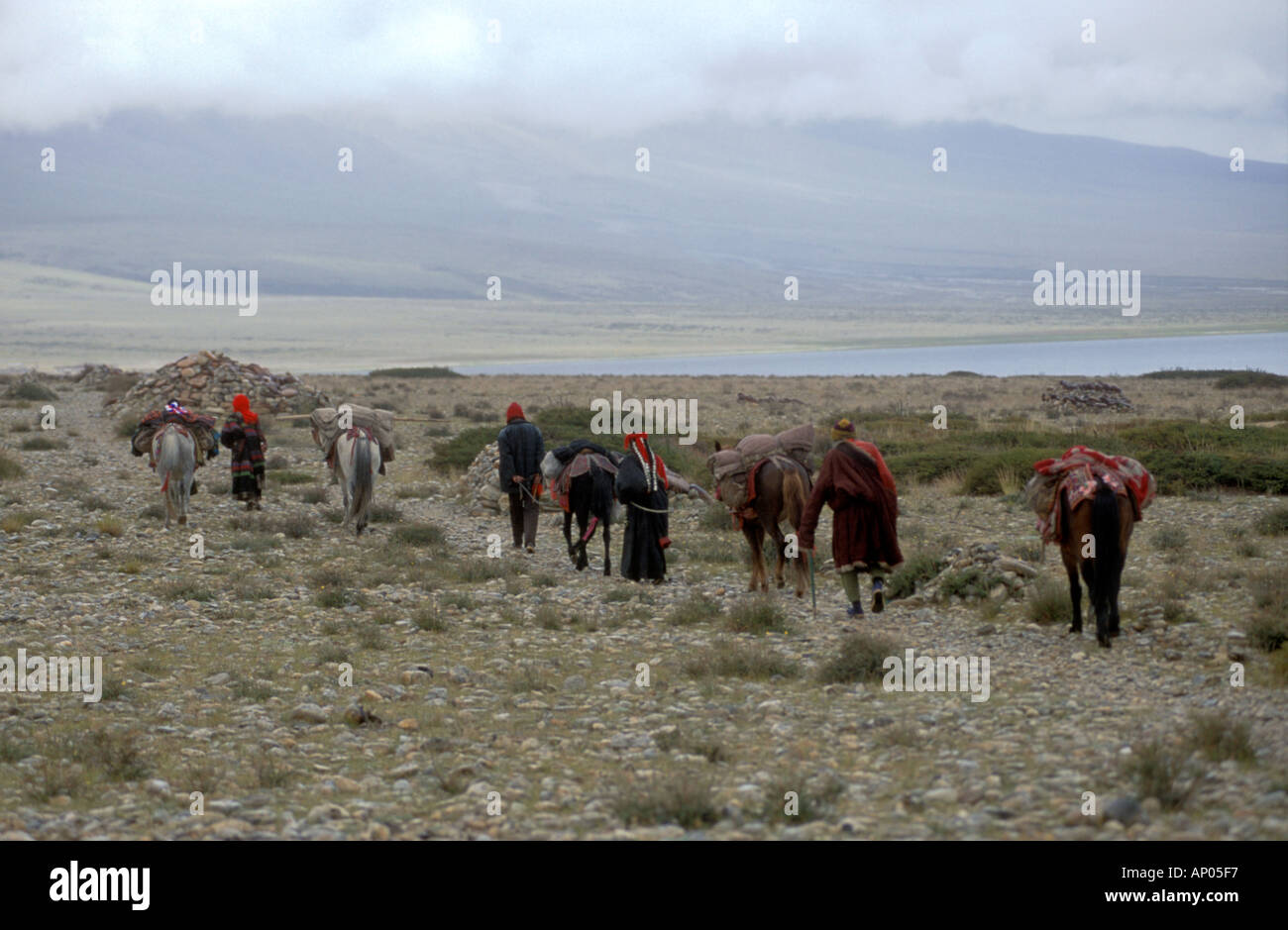 TIBETAN PILGRIMS with HORSES encircle LAKE MANASAROVAR 4550M as part of ...
