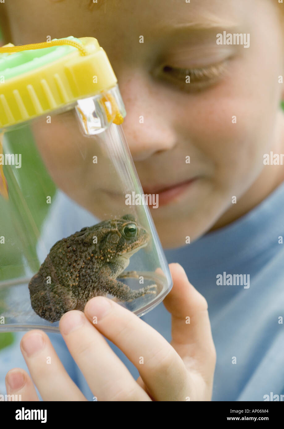 Boy looking at toad in viewing container Stock Photo - Alamy