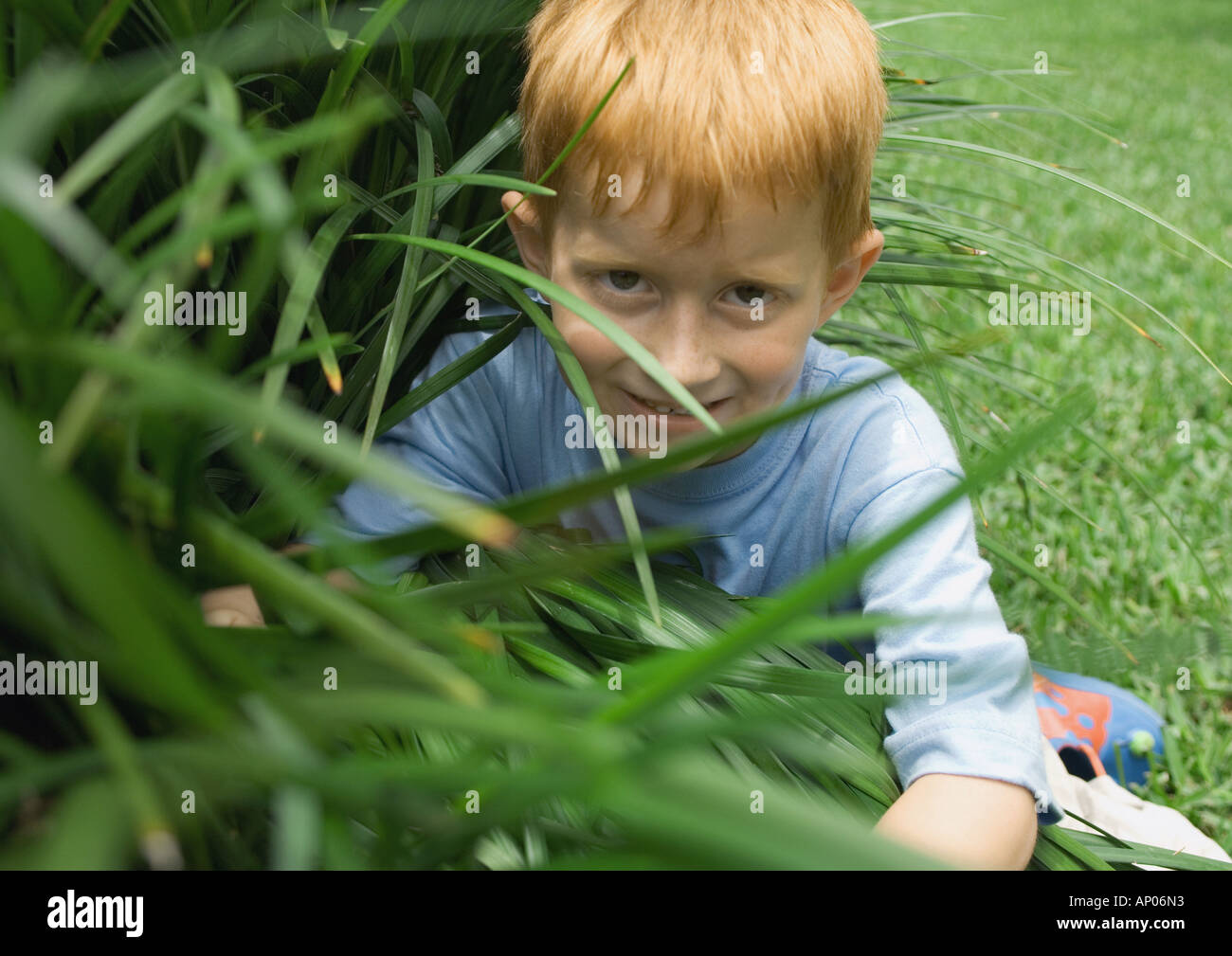 Boy sitting in long grass hi-res stock photography and images - Alamy