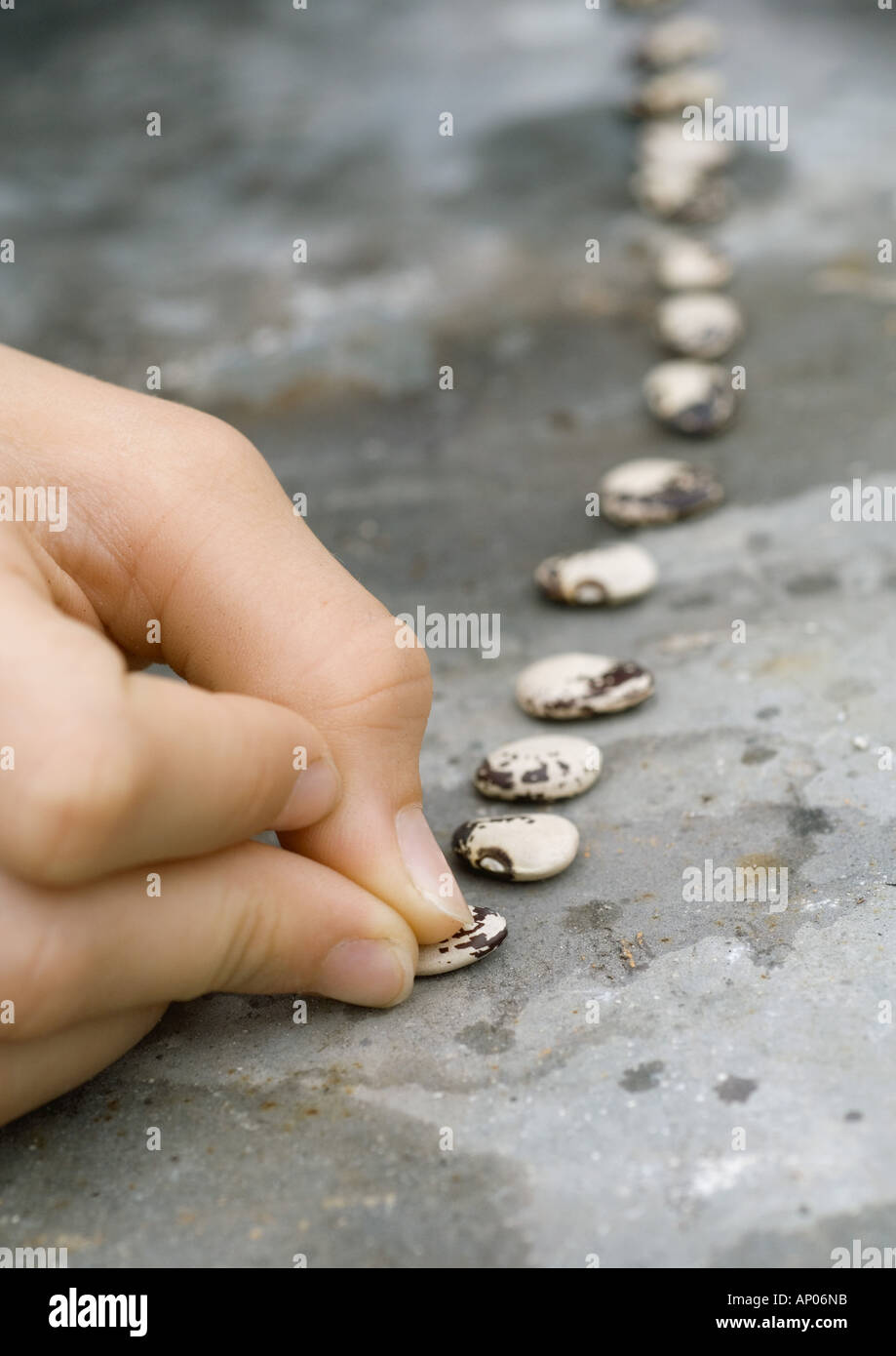 Hands placing objects rows hi-res stock photography and images - Alamy