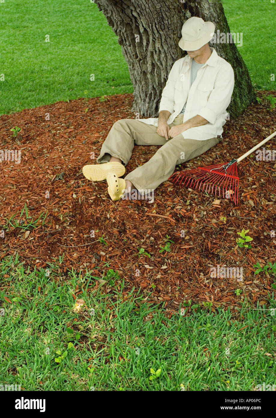 Gardener napping under tree Stock Photo - Alamy