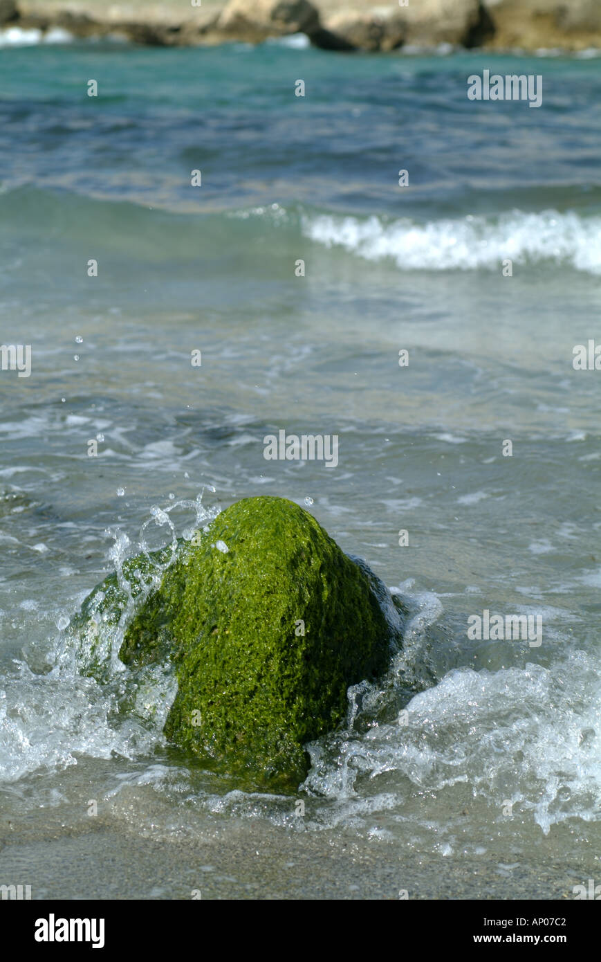 Green algae french mediterranean coastline hi-res stock photography and ...