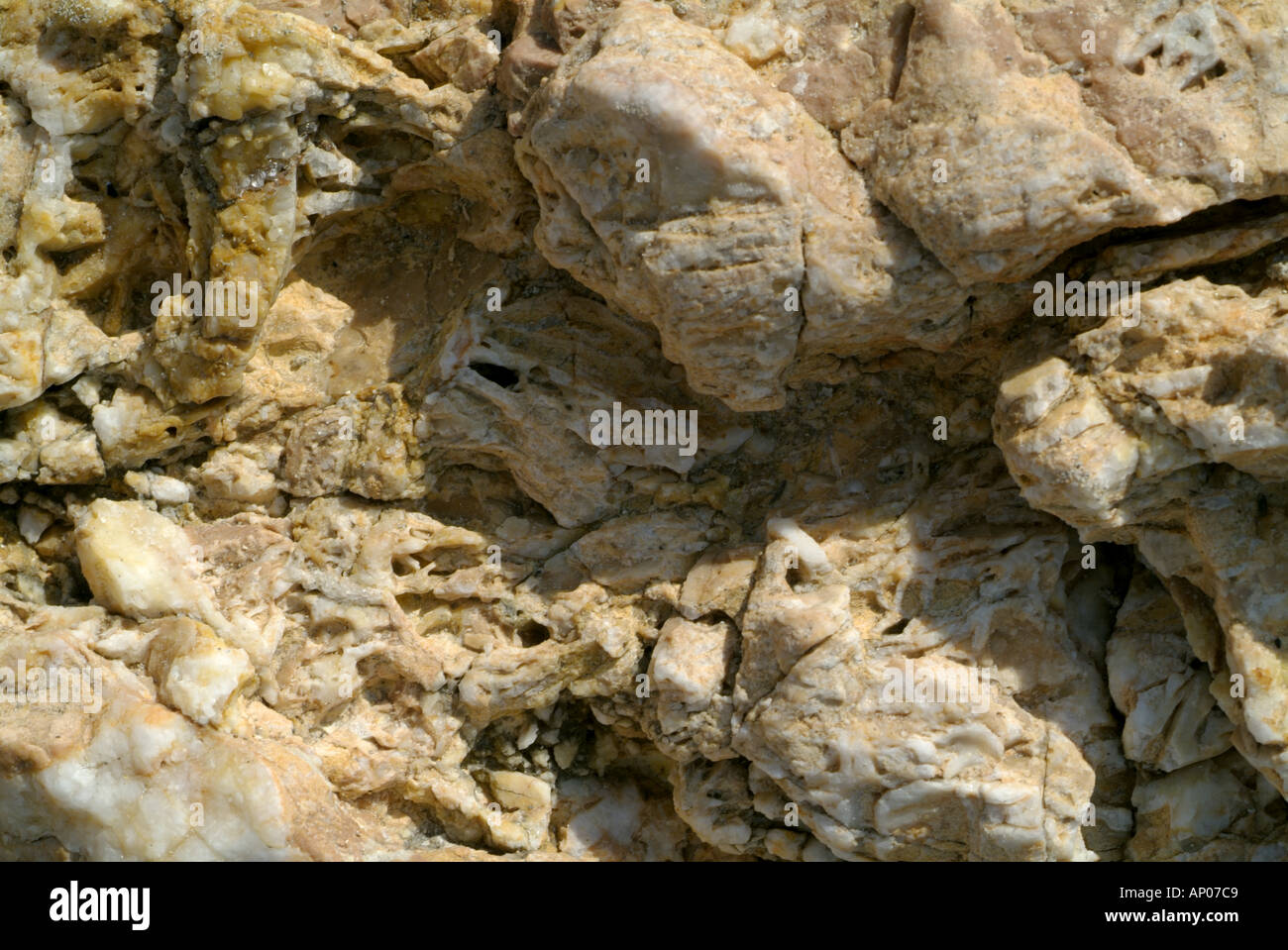 Var758 hi-res stock photography and images - Alamy