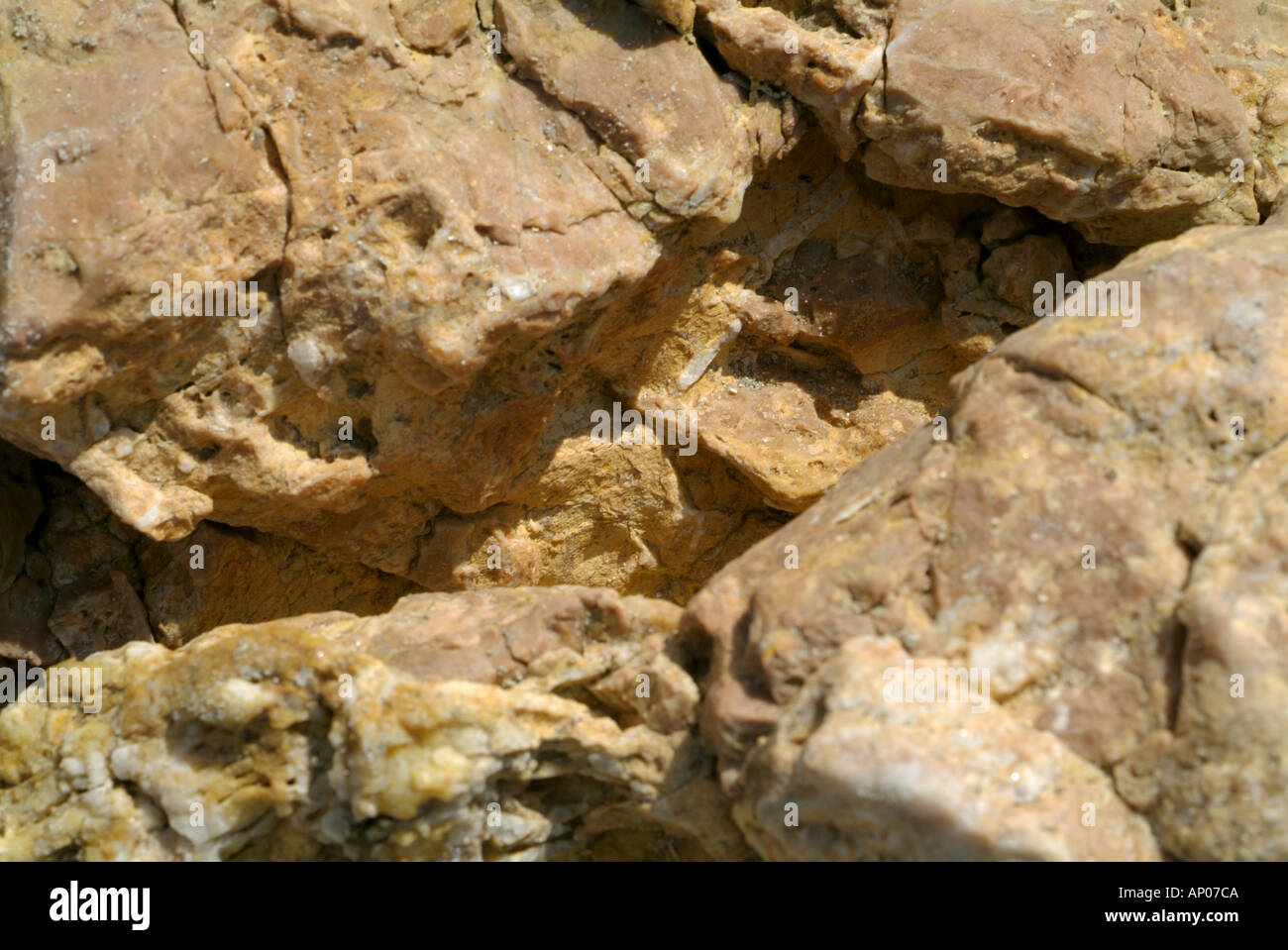 Var759 hi-res stock photography and images - Alamy