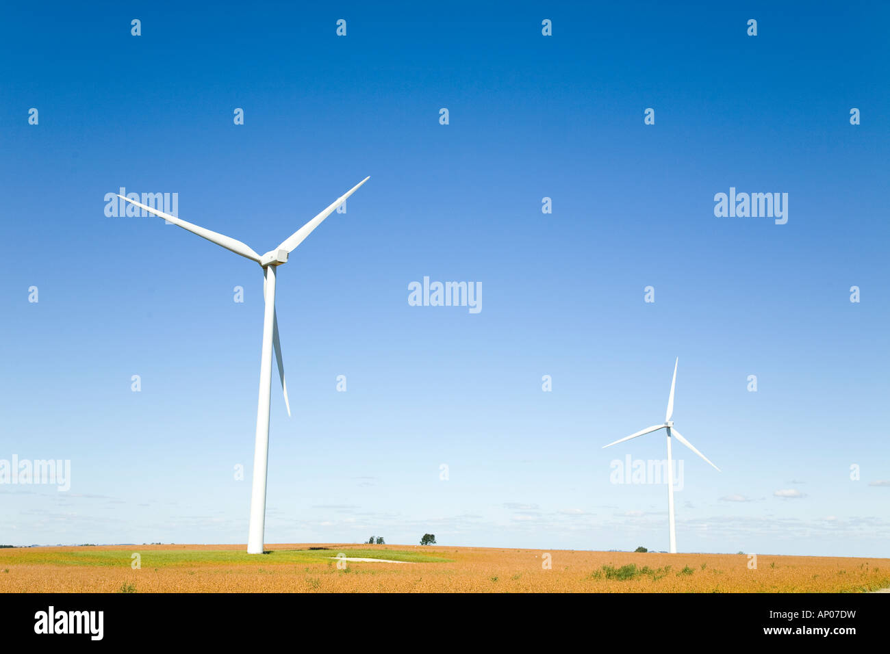ILLINOIS Near Amboy Two wind turbines in agricultural field tall white ...