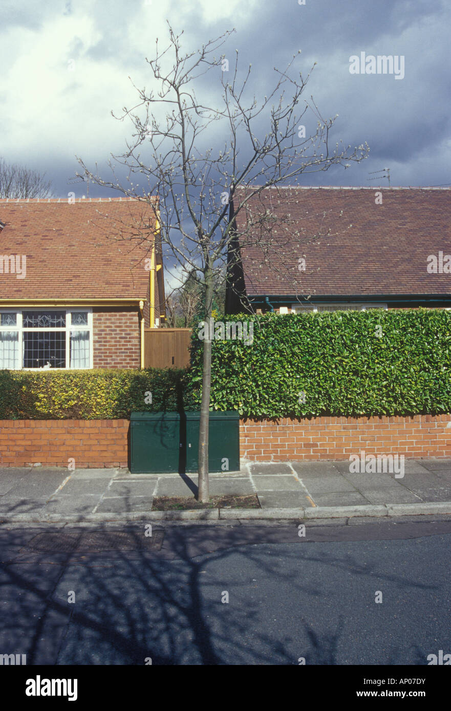 Well maintained suburb contrast neighbours england british secure ...