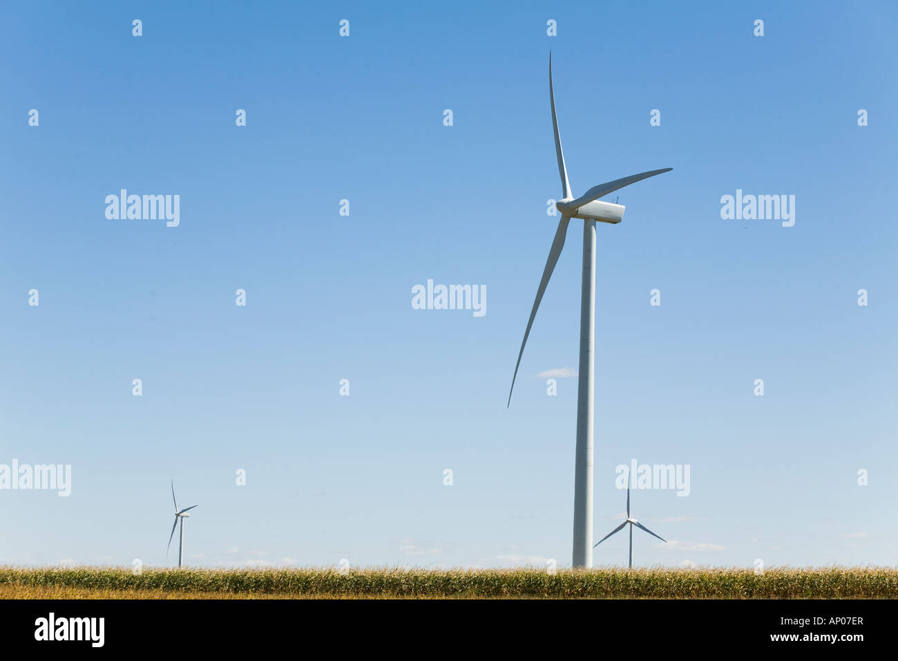 ILLINOIS Near Amboy Three wind turbines in agricultural field tall ...