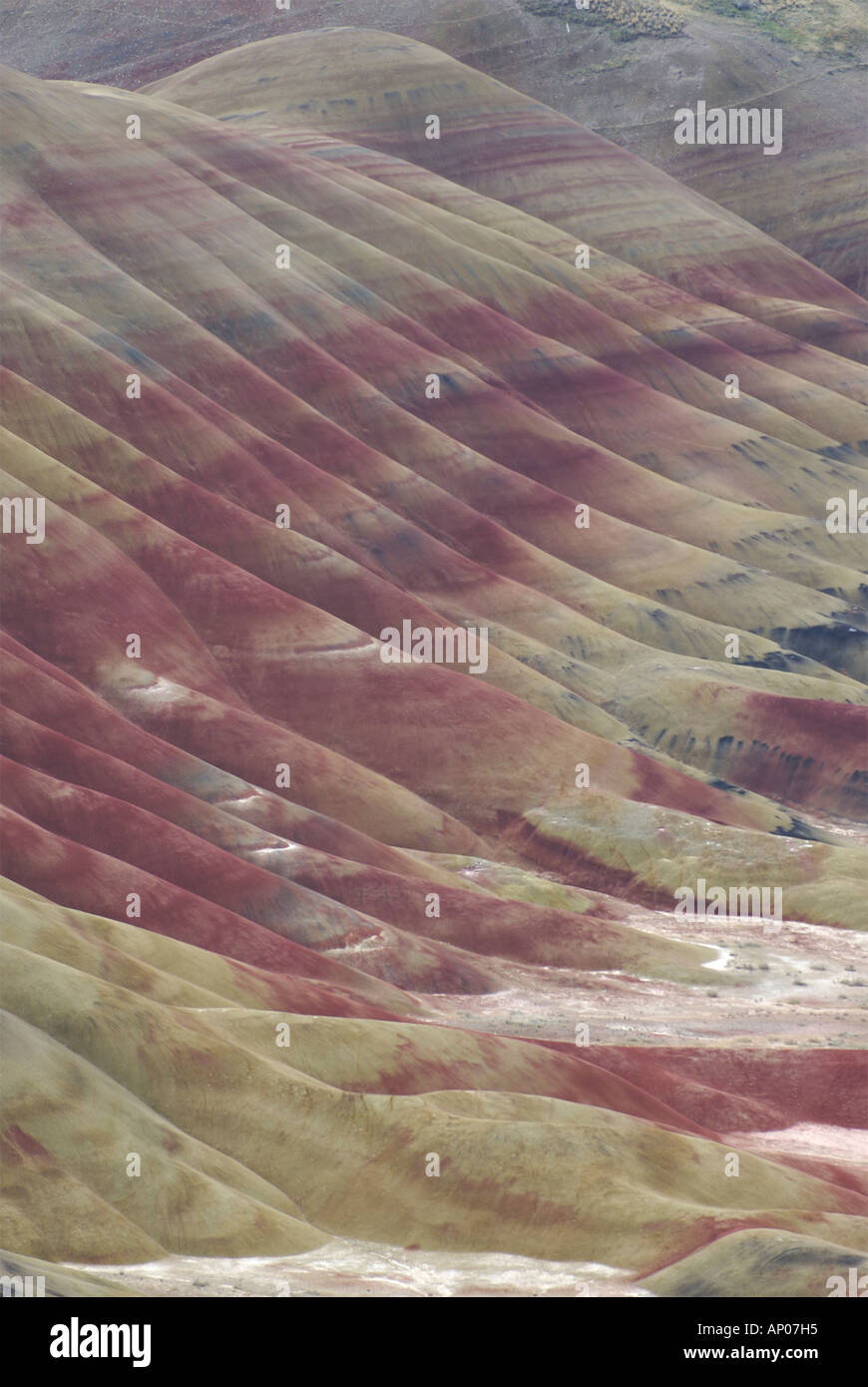 Deeply eroded colorful clay hills at the Painted Hills Unit John Day ...