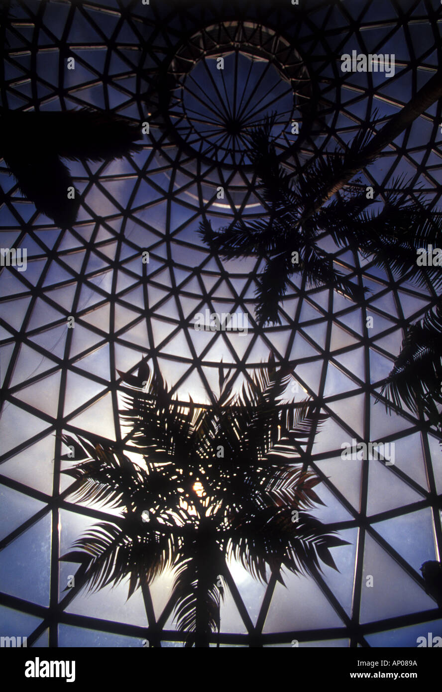 Inside the arboretum at the botanic gardens hi-res stock photography ...