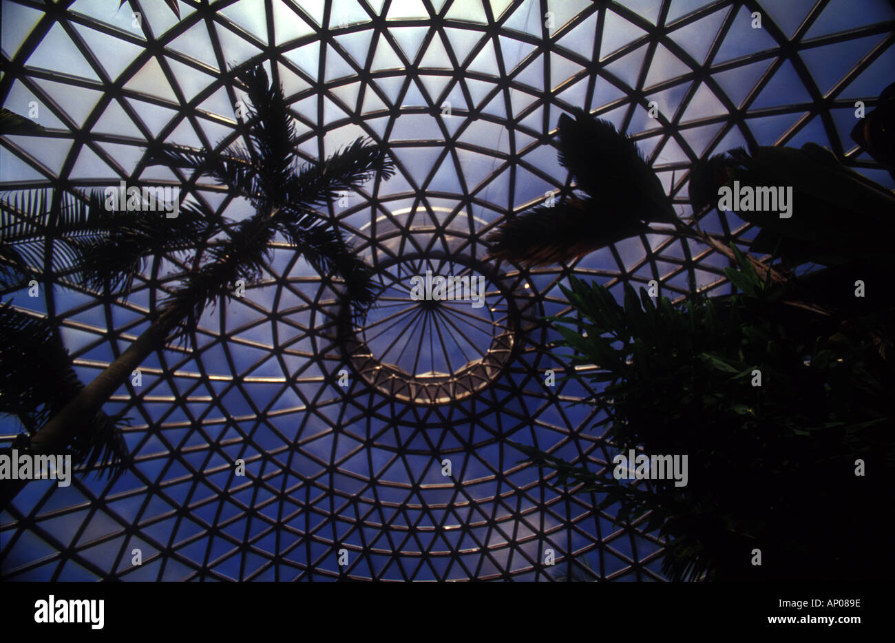 Tropical palm inside dome in hi-res stock photography and images - Alamy