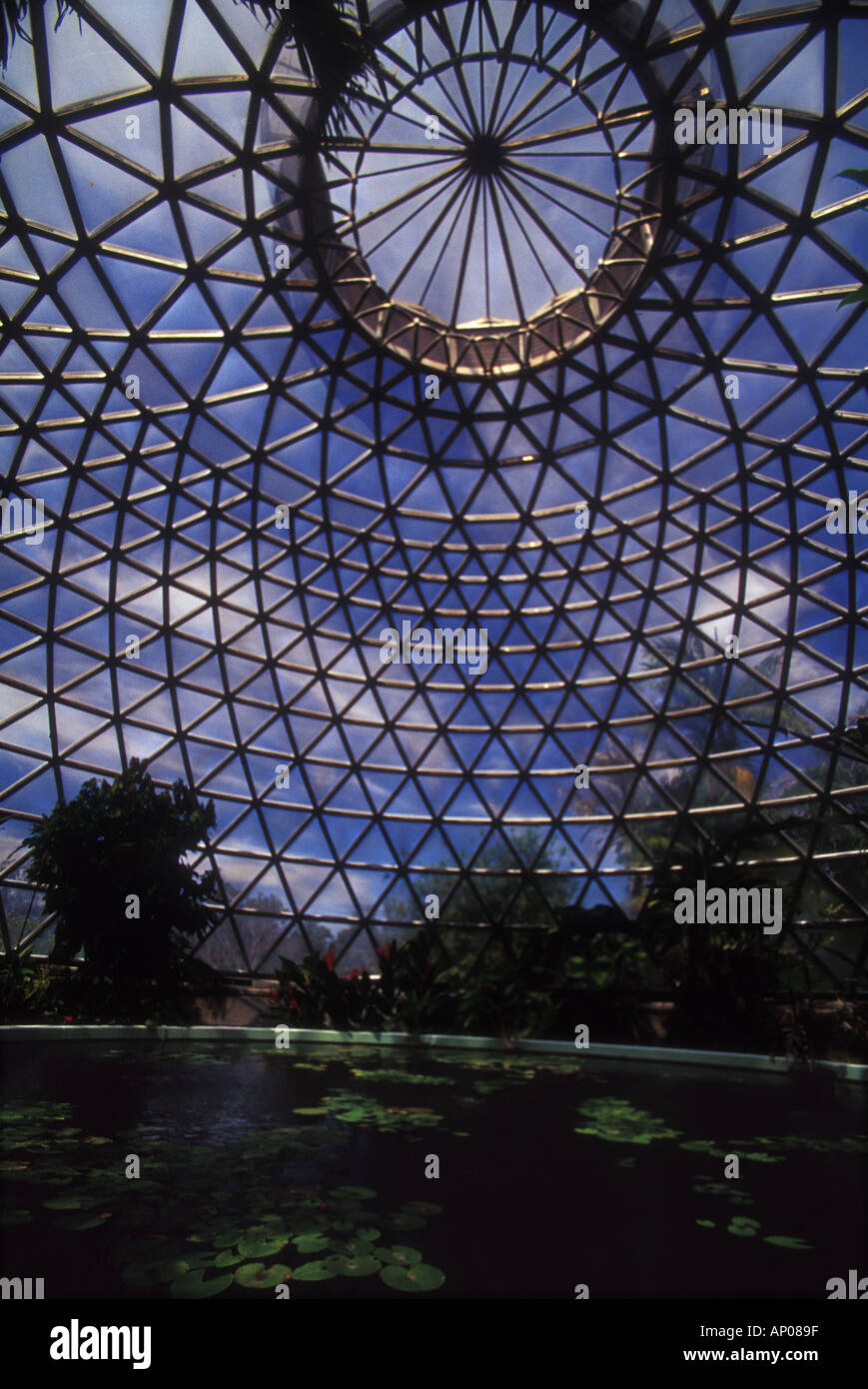 Domed roof in hothouse Brisbane Botanical gardens Mount Cootha ...