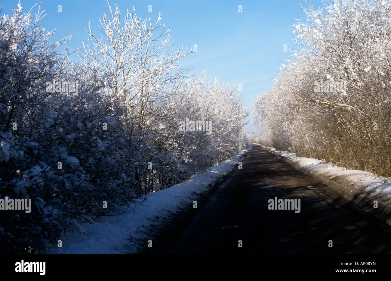 Snow country lane hi-res stock photography and images - Alamy