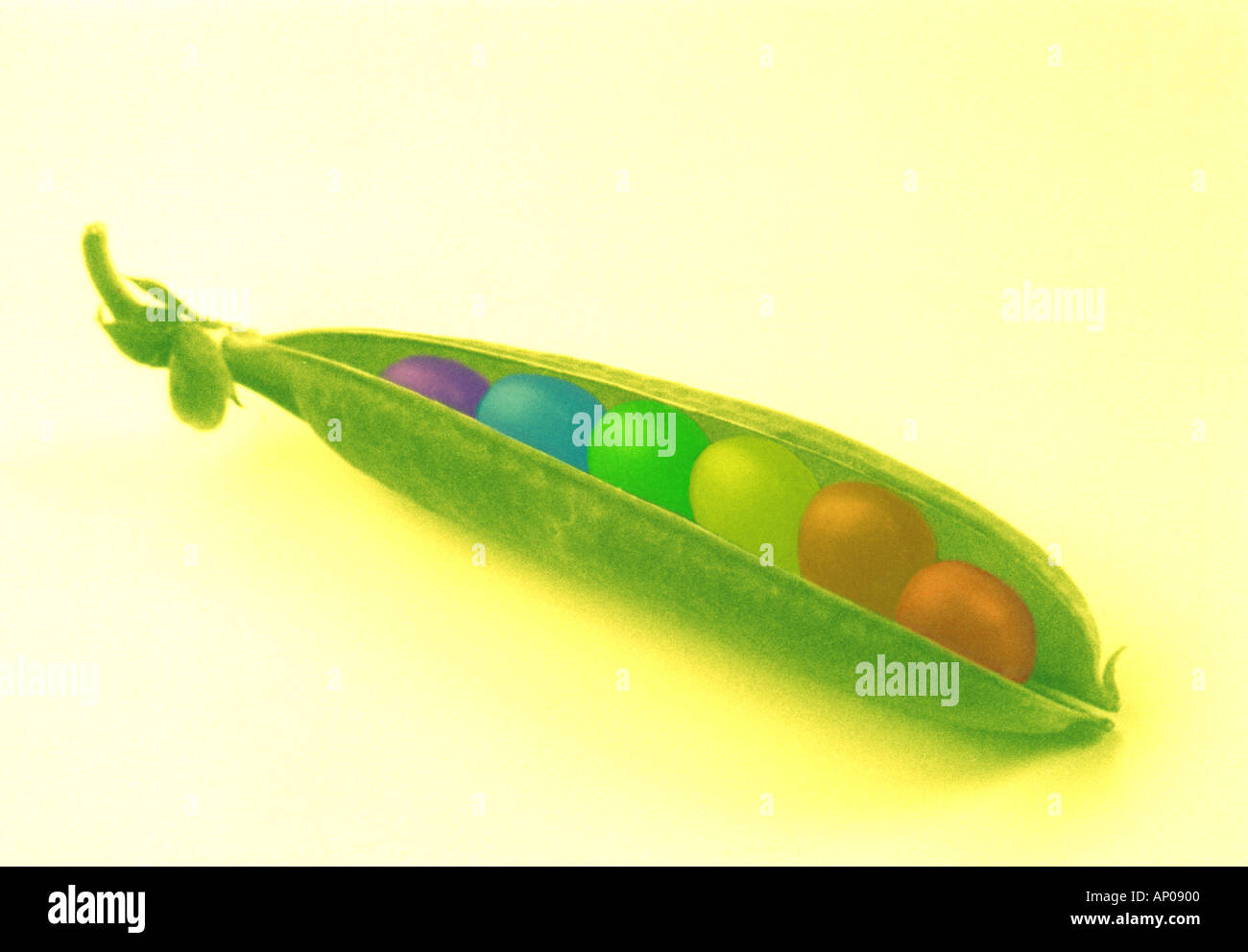 Rainbow peas in a pod Stock Photo - Alamy