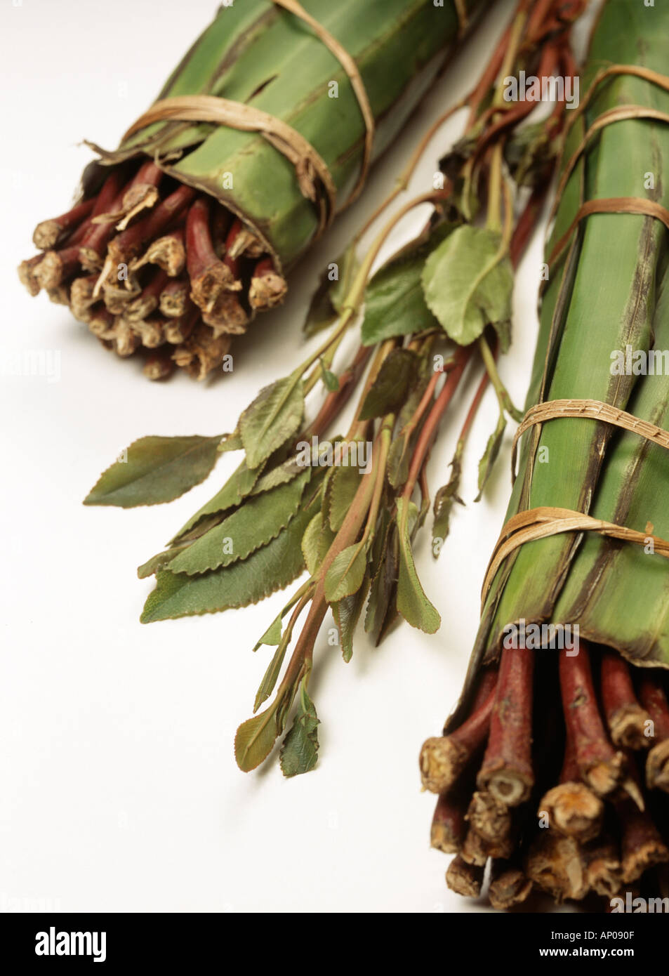 Qat hi-res stock photography and images - Alamy