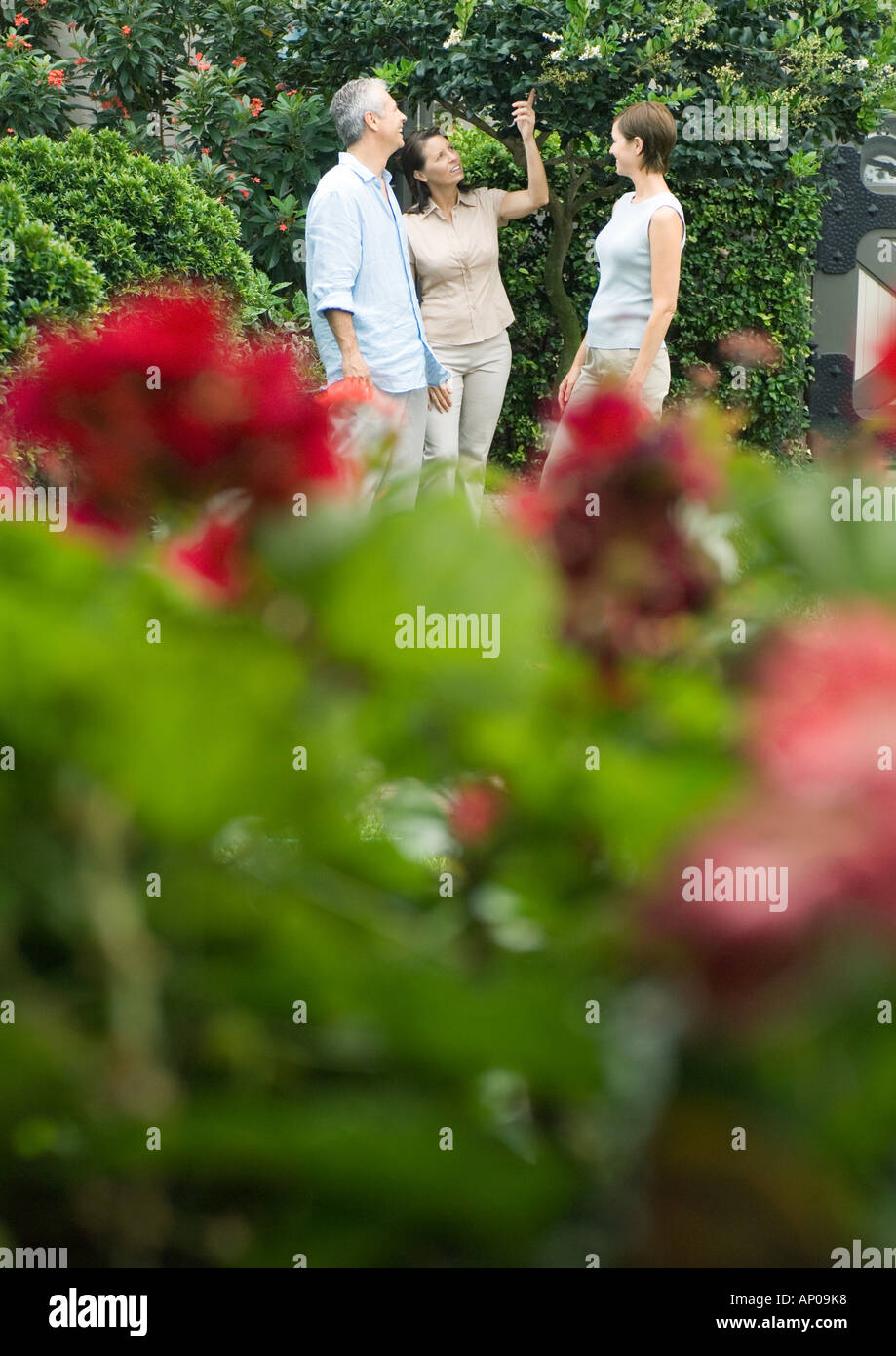 Mature adults talking in yard Stock Photo - Alamy