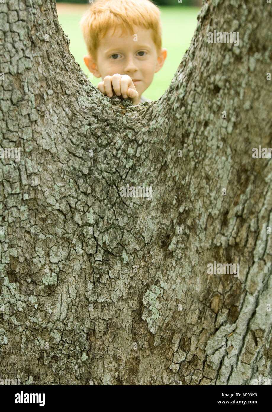 Boy hiding behind tree hi-res stock photography and images - Alamy