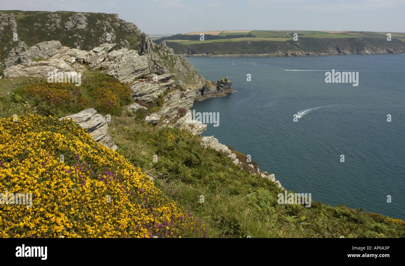 Looking north from Sharp Tortowards Salcombe, with Portlemouth Down in ...