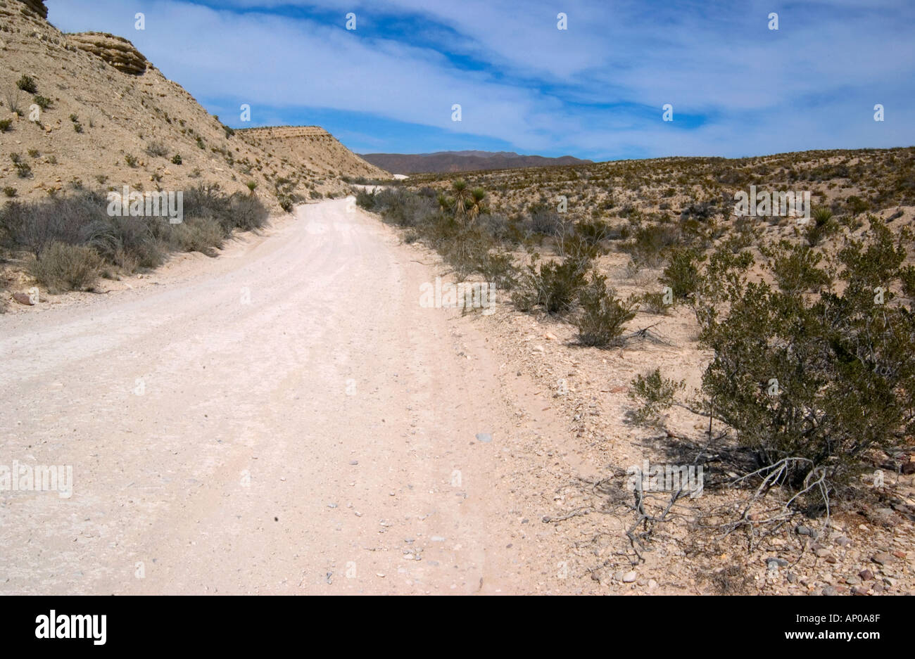 Dusty dirt road winding through desert terrain in Big Bend, Texas, USA ...