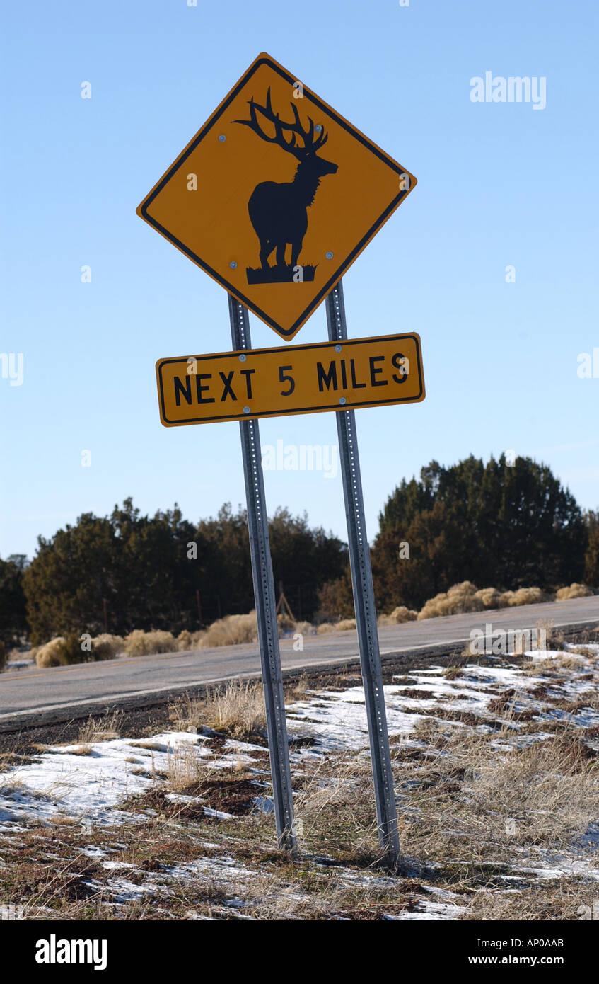road sign warning drivers of wild elk on the road northern arizona USA ...