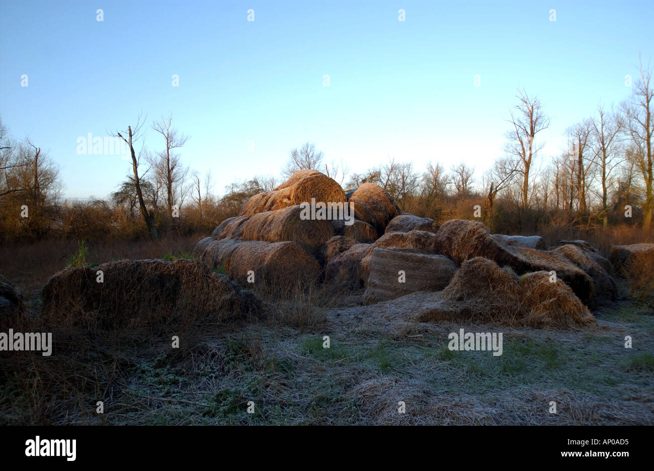 Norfolk Farm Land Feltwell Norfolk England Stock Photo - Alamy