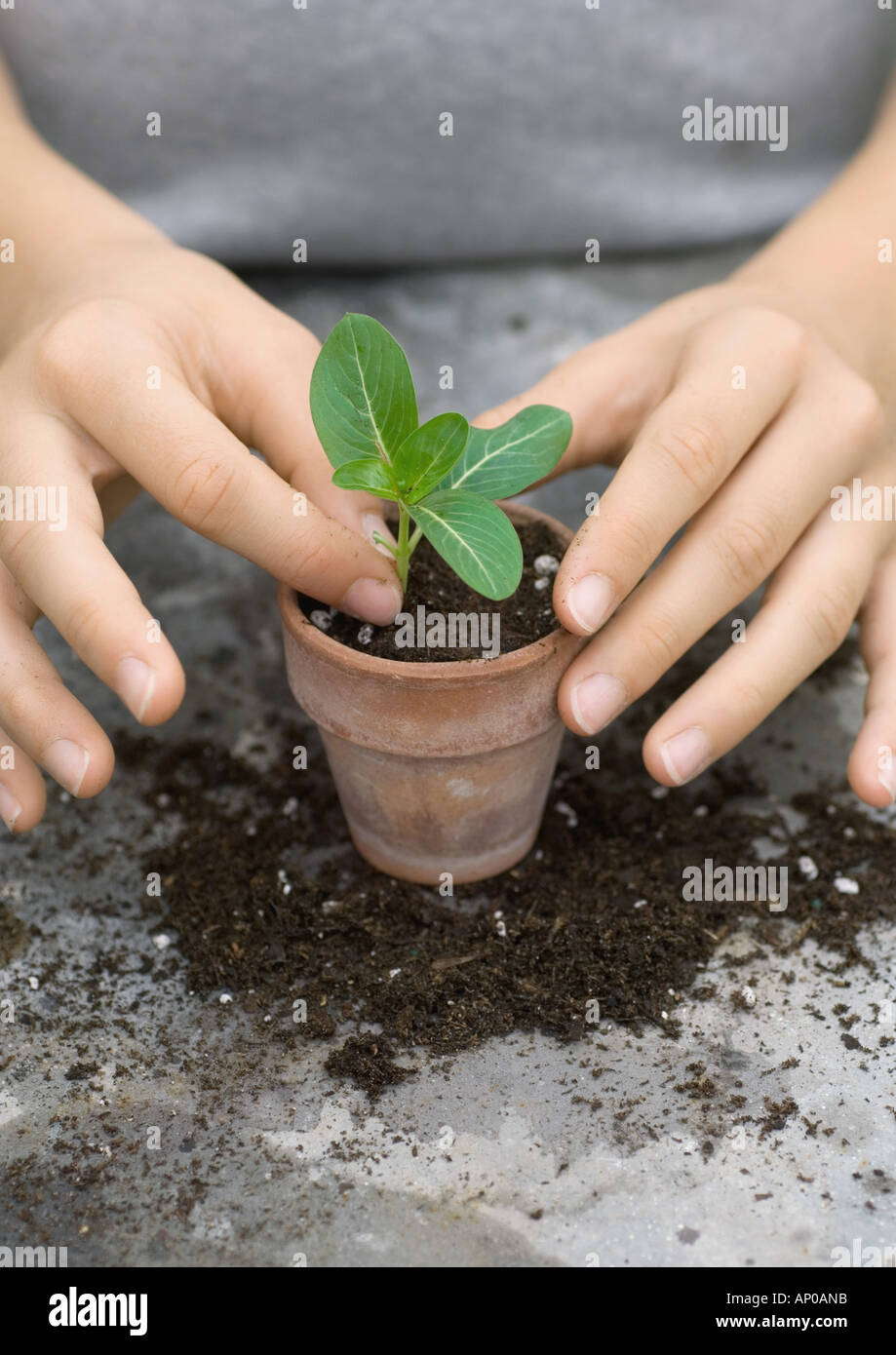 Planting pots gardening cropped hi-res stock photography and images - Alamy